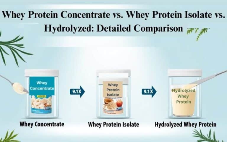 Whey Concentrate vs Isolate vs Hydrolyzed Comparison